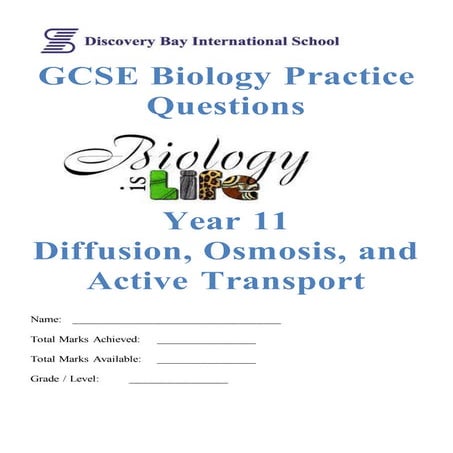 Diffusion, osmosis, and active transport practice questions | DOCX