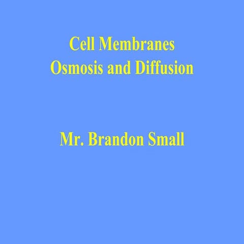 Diffusion powerpoint for summer class | PPT | Chemistry | Science