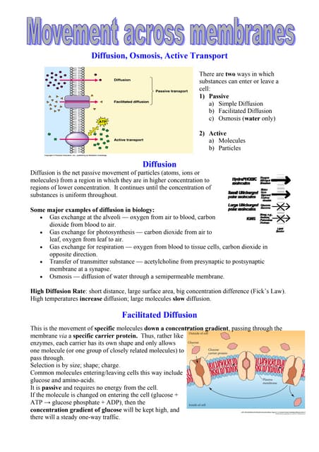 Diffusion and osmosis | PPTX