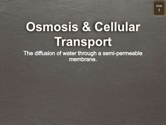 132441402 chapter-3-movement-of-substances-across-the-plasma-membrane ...