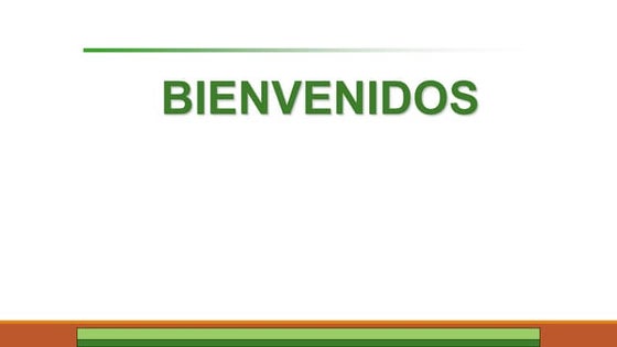 Doce pilares | PPT