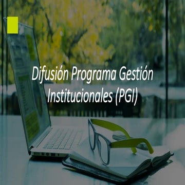 difusion-programa-gestion-institucionales-pgi-2024.pdf