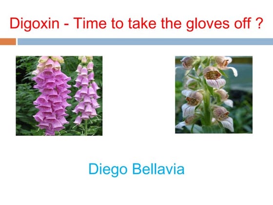 Digoxin | PPT