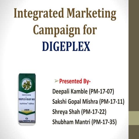 Digeplex Branding | PPT