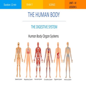 Digest file grade 3 human body science subject | PPT