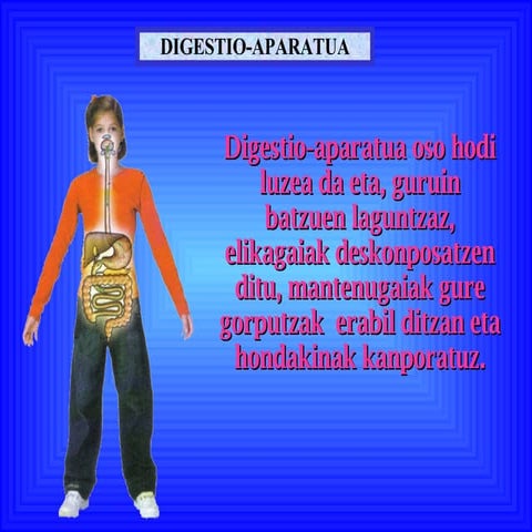 Digestio aparatua | PPT