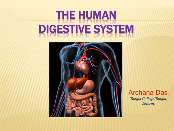 Quarter-4-Module-1-Structures-and-Functions-of-the-Digestive-System.pptx