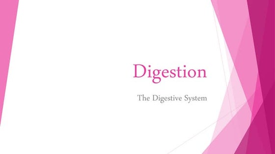 The digestive system | PPT