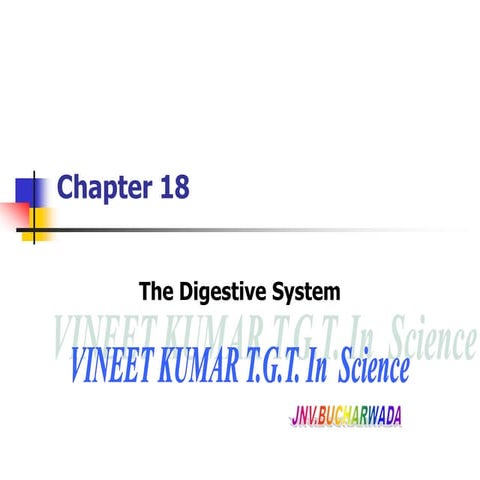 Digestion | PPT