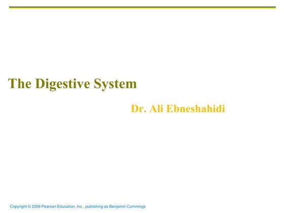 Station 3 digestive system | PDF | Medical Health