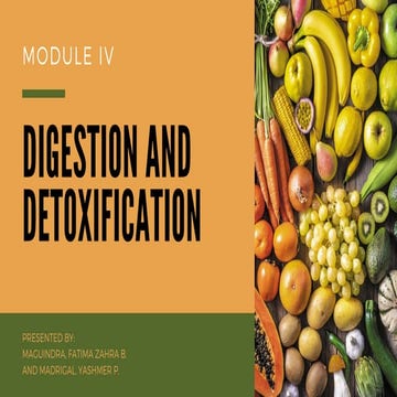 DIGESTION AND DETOXIFICATION Module IV.pdf