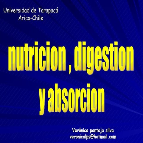 digestion , absorcion y nutricion | PPT