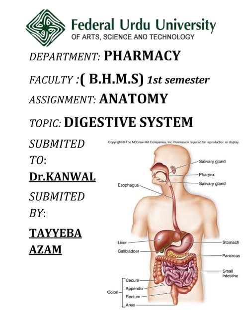 Anatomy & Physiology of large intestine | PPT