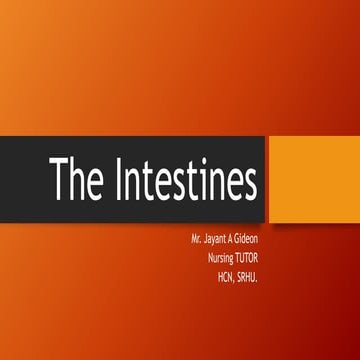Digestion - Intestine.pptx