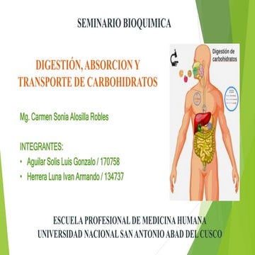 DIGESTION, ABSORCION Y TRANSPORTE CARBOHIDRATOS.pptx