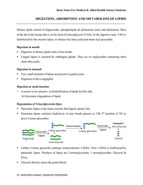 Digestion And Absorption Of Lipids Ppt