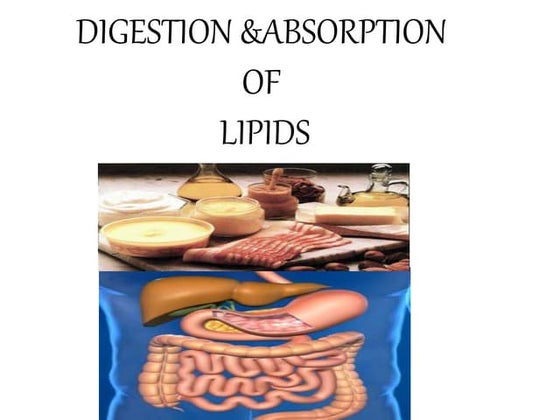 digestion and absorption of lipids .pptx
