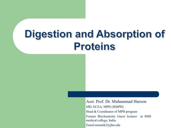 Digestion and Absorption of Carbohydrates- Biochemistry | PPT