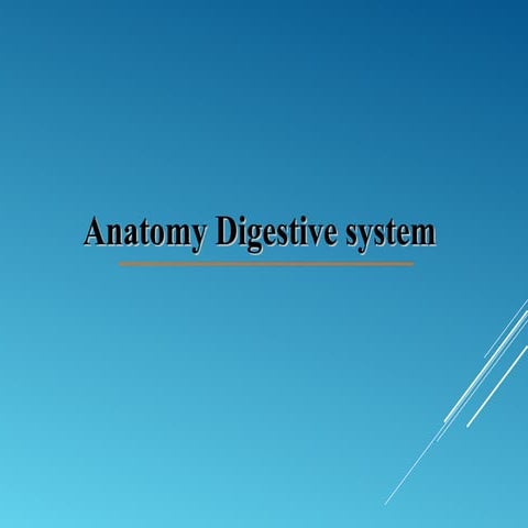 Digestion anatomy | PPT