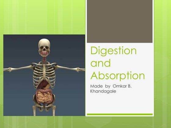 Human digestive system | PPT