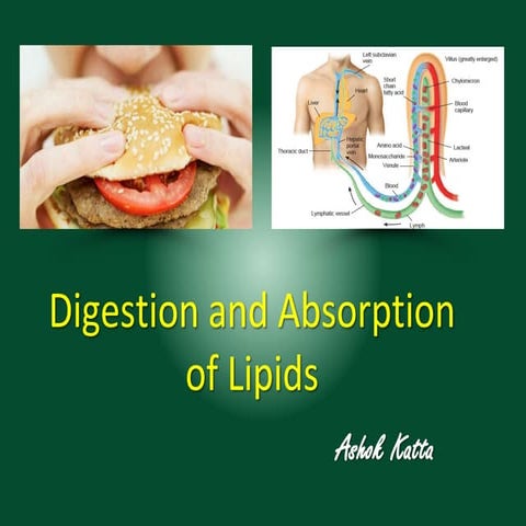 Digestion and absorption of lipids ppt | PPTX
