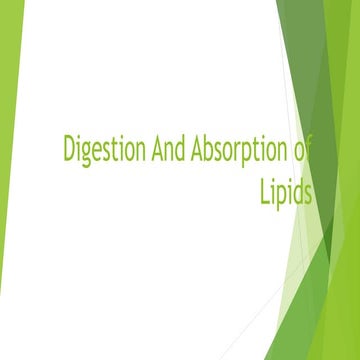 Digestion and absorption of lipids ppt | PPTX
