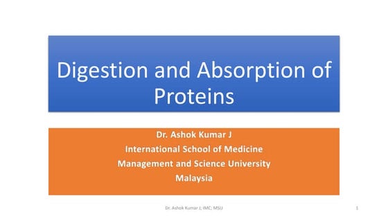 Digestion and absorption of proteins | PPSX | Digestive Disorders ...