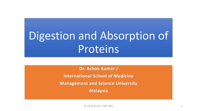 Digestion and absorption of proteins | PPSX