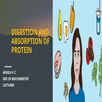 Digestion and absorption of proteins | PPSX
