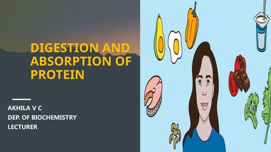 Digestion and absorption of proteins | PPSX | Digestive Disorders ...