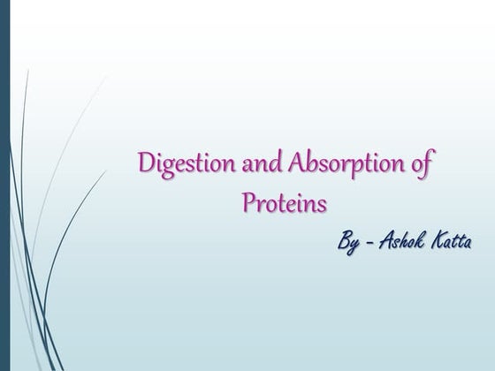 Protein digestion and absorption | PPT