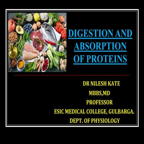 Digestion and absorption of proteins | PPT