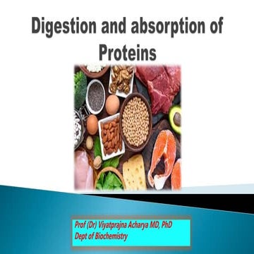 Digestion and absorption of proteins | PPTX