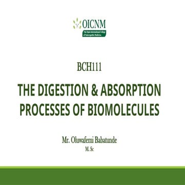 Digestion and Absorption Processes of foods.pptx
