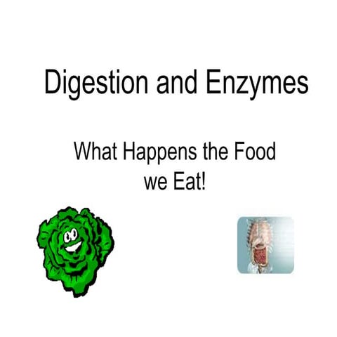 digestion_and_enzymes.ppt