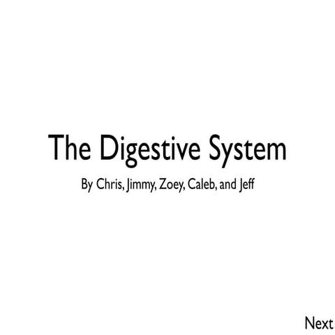 Digestion game | PPT