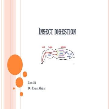 Digestive system of insect and it's physiology.pdf