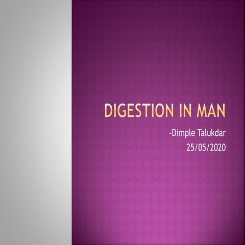 Digestive and excreatory system | PPTX