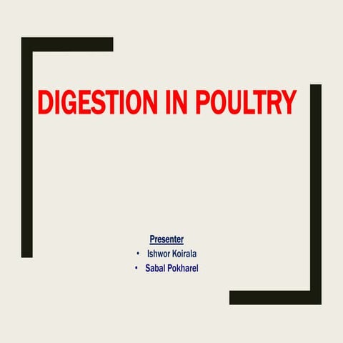 Digestion in poultry birds | PPTX