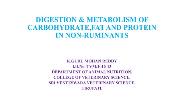 The carbohydrates in animal nutrition | PPTX