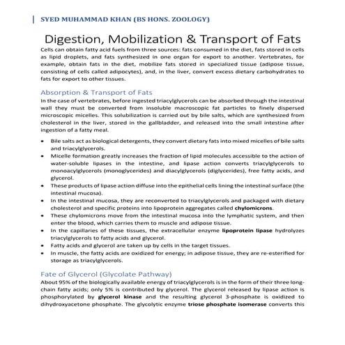 Digestion, Mobilization & Transport of Fats | PDF
