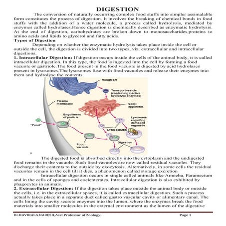 DIGESTION OF CARBOHYDRATES ,PROTEINS AND LIPIDS | PDF