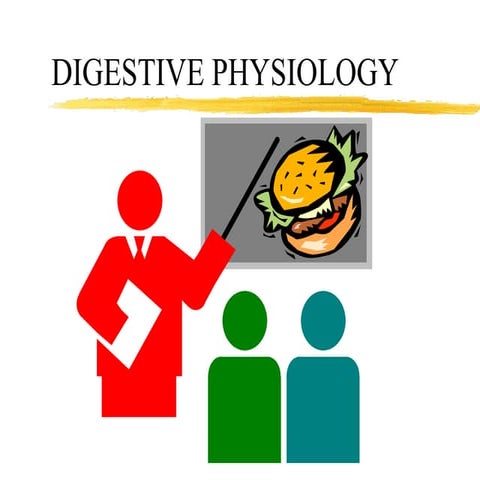 DIGESTION PHYSIOLOGY Explaining the digestive system | PPT