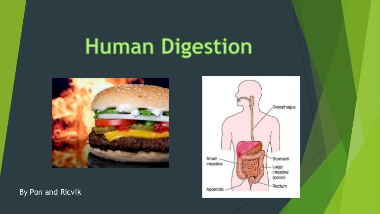 Digestion process