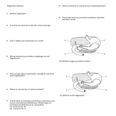 Digestion relays competition | PDF