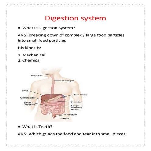 Digestion System A Convective Heated Digestion System With Closed