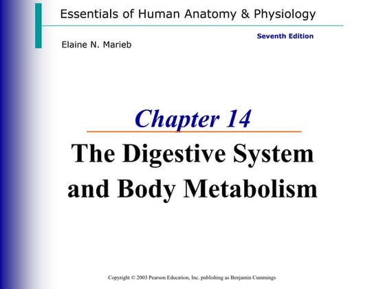 digestive system preesntation of human anatomy | PPT