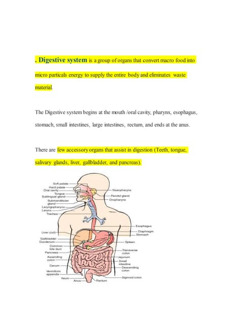 Science 6_Q2_L3_Parts and Function of Digestive System.pptx