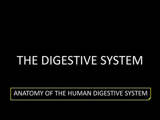 Digestive system Grade 5 igcse easy notes | PPT | Digestive Disorders ...