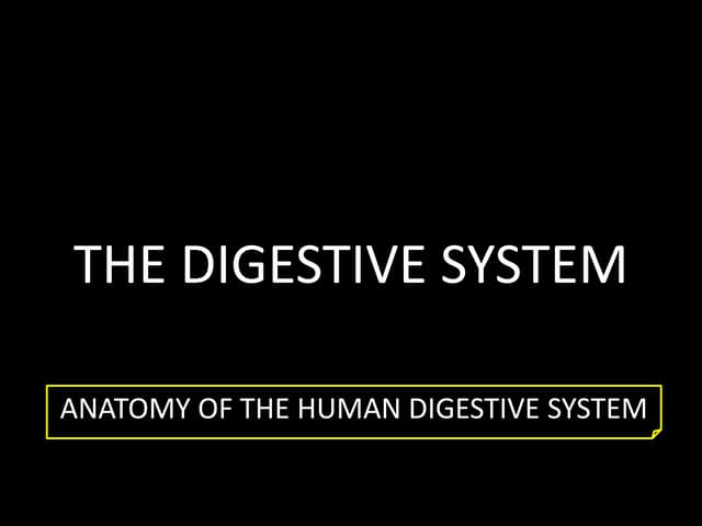Science Grade 8- The Digestive System.pptx